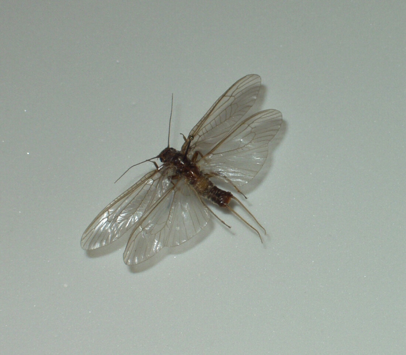 Poučna staza Murščak – MURA